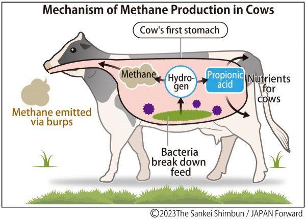 Do Newly Discovered Bacteria Hold the Key to Curbing Methane Emissions? » Japan 2 Earth