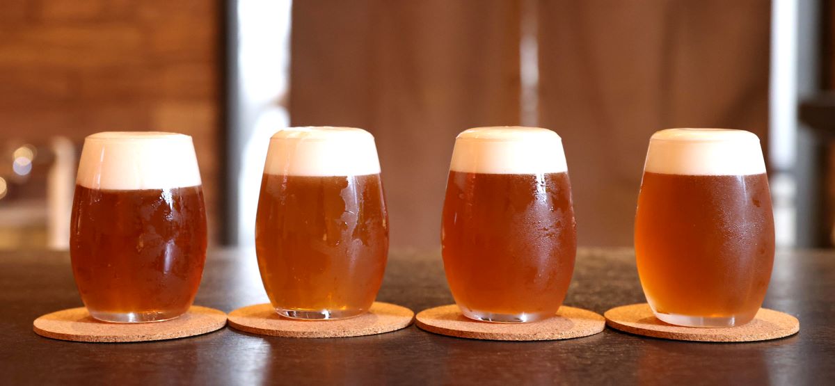 Craft Beer Brewery Embraces Employment Opportunities for People with ...