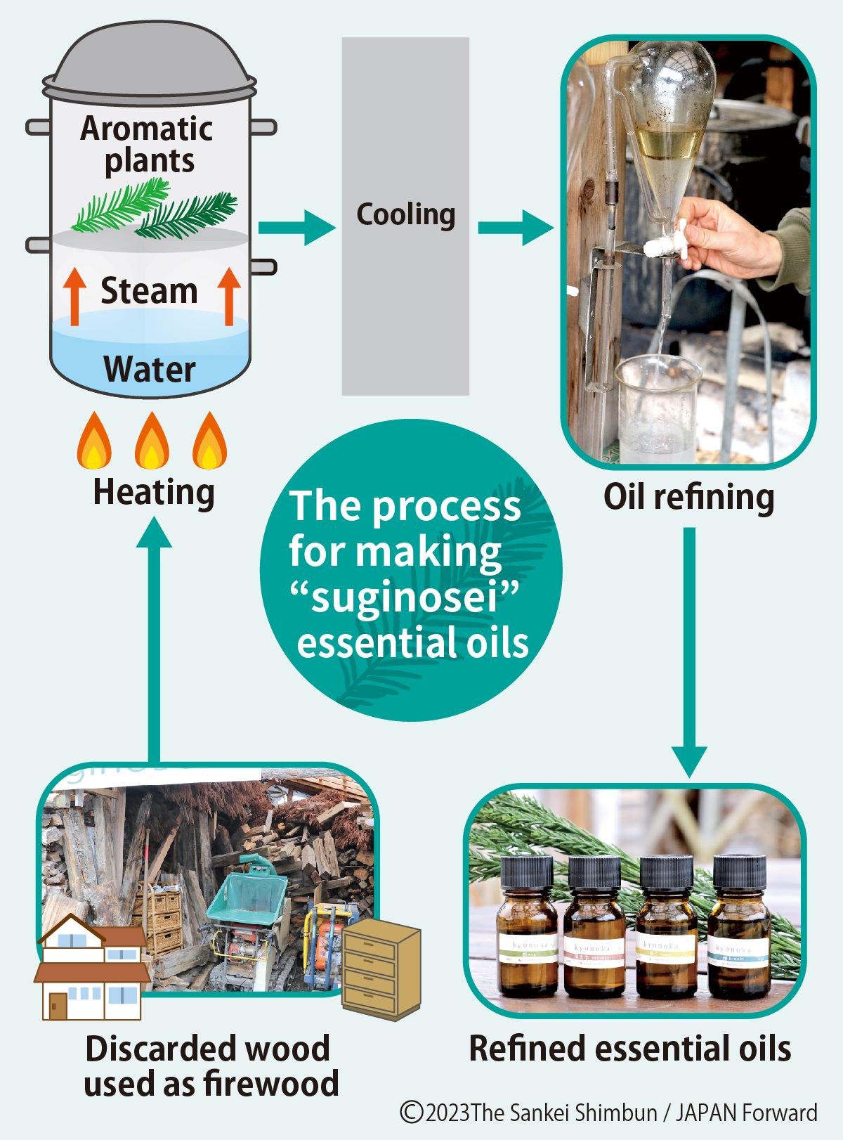 The Future of Forestry is Circular: Transforming Wood Waste into ...
