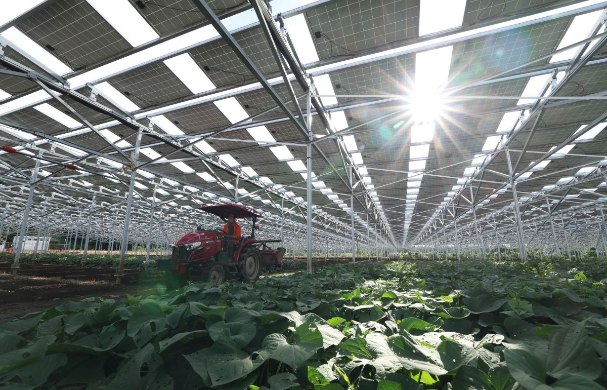 From Farms to Schools, Where Will Solar Panels Go Next? » Japan 2 Earth