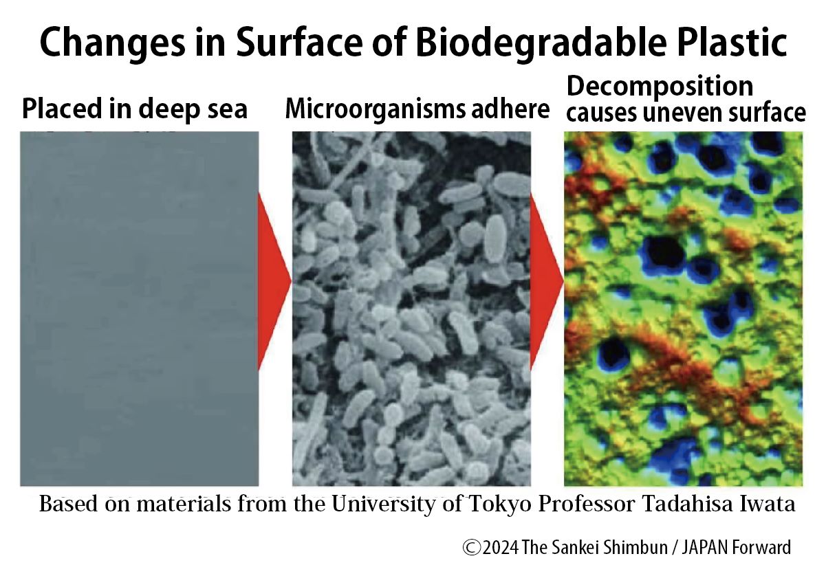 Biodegradable Plastics: A Proven Solution to the Problem of Marine ...