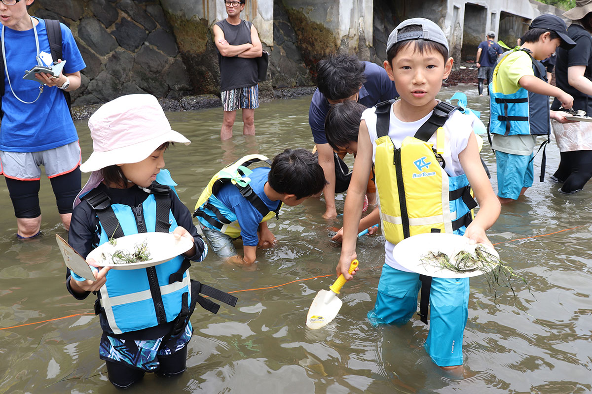 Planting the Future: Children Help Revive Coastal Seagrass in Yokosuka ...