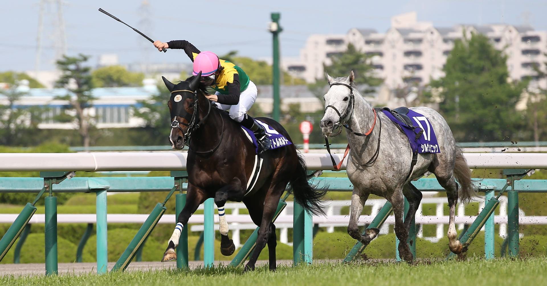 Titleholder Overwhelms the Field in the 165th Tenno Sho | JAPAN Forward