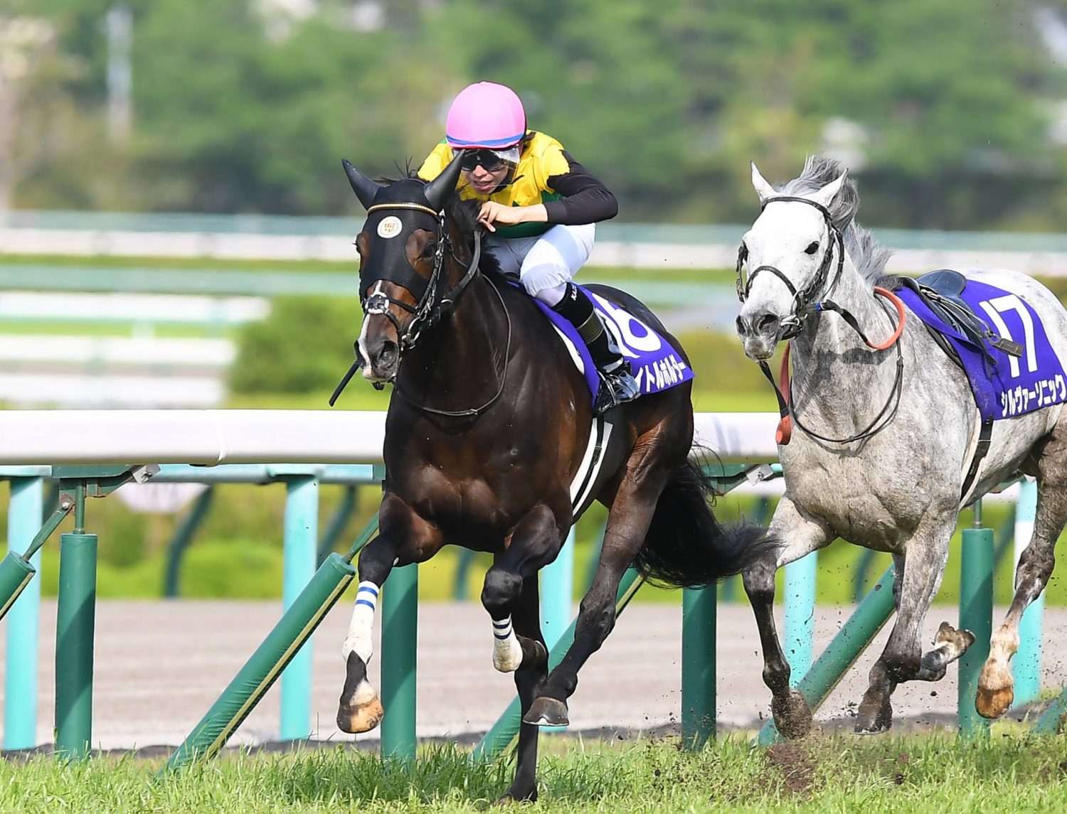 Titleholder Overwhelms the Field in the 165th Tenno Sho | JAPAN Forward
