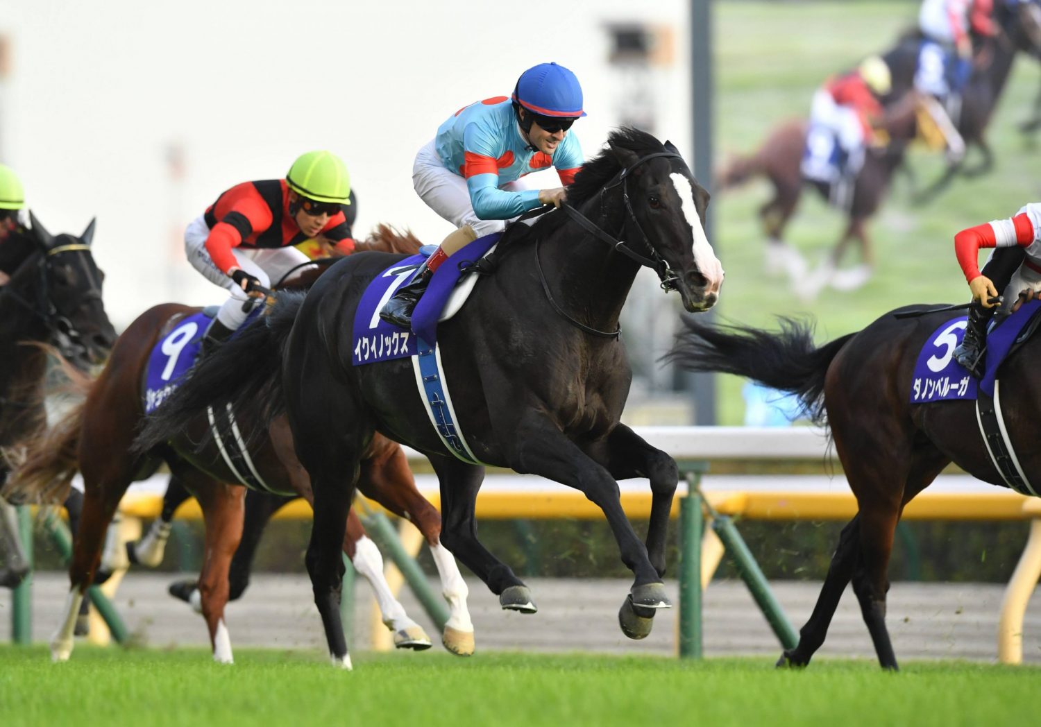 Equinox Zooms Past Panthalassa for Thrilling Win in 166th Tenno Sho ...