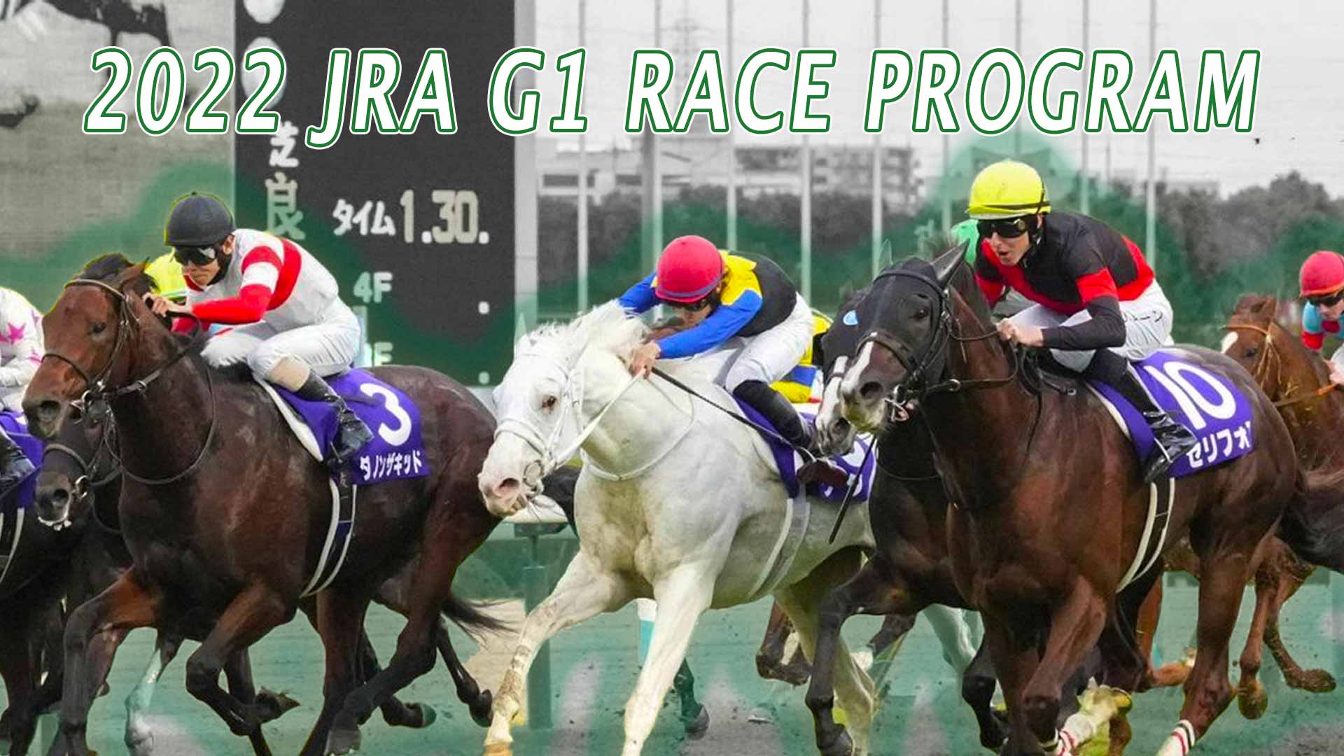 2022 JRA G1 Race Program | SportsLook
