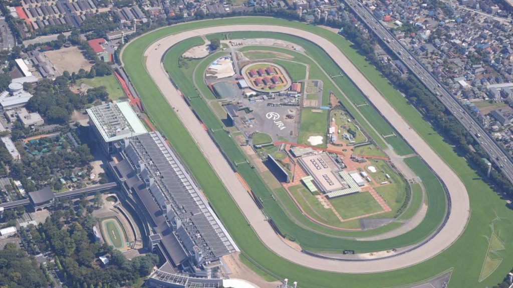 New Quarantine Stable Completed at Tokyo Racecourse Available for Use ...