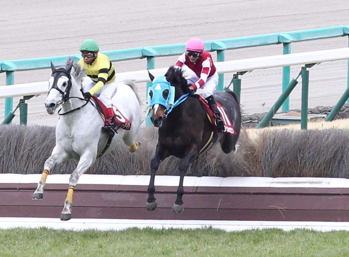 Oju Chosan Awaits Final Run: How a Problem Colt Who Hated Practice ...