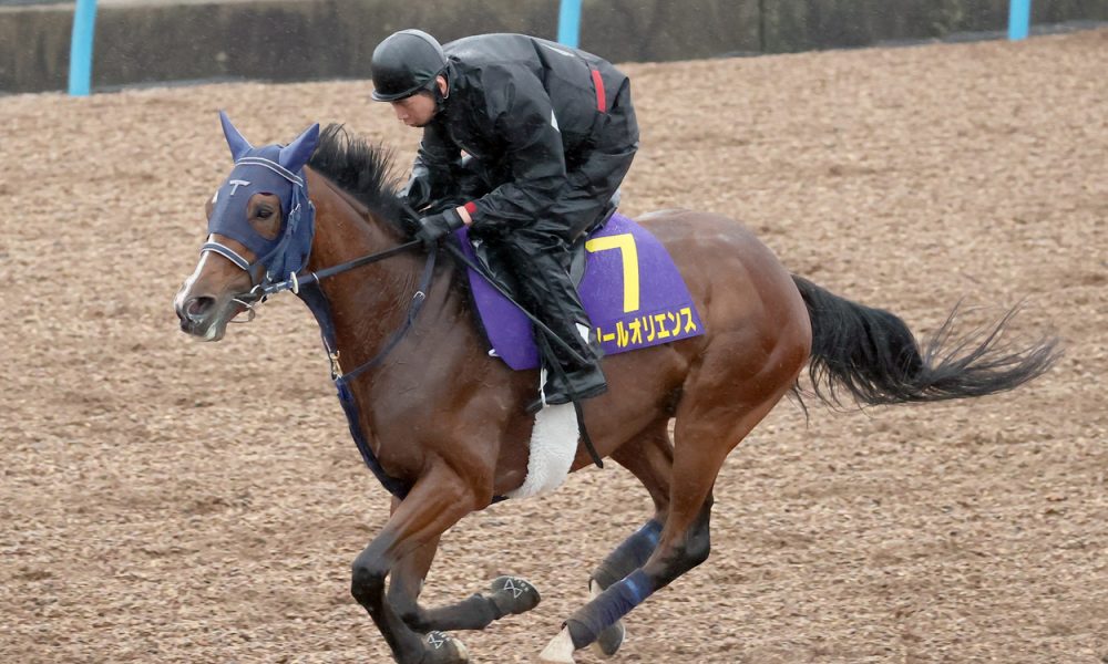 Tokyo Yushun (Japanese Derby) Preview: A Once-in-a-Lifetime Event for ...
