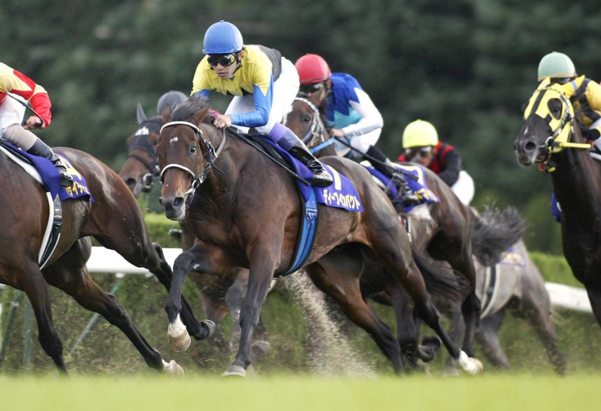 Deep Impact: The Enduring Appeal of a World-Renowned Racehorse | SportsLook