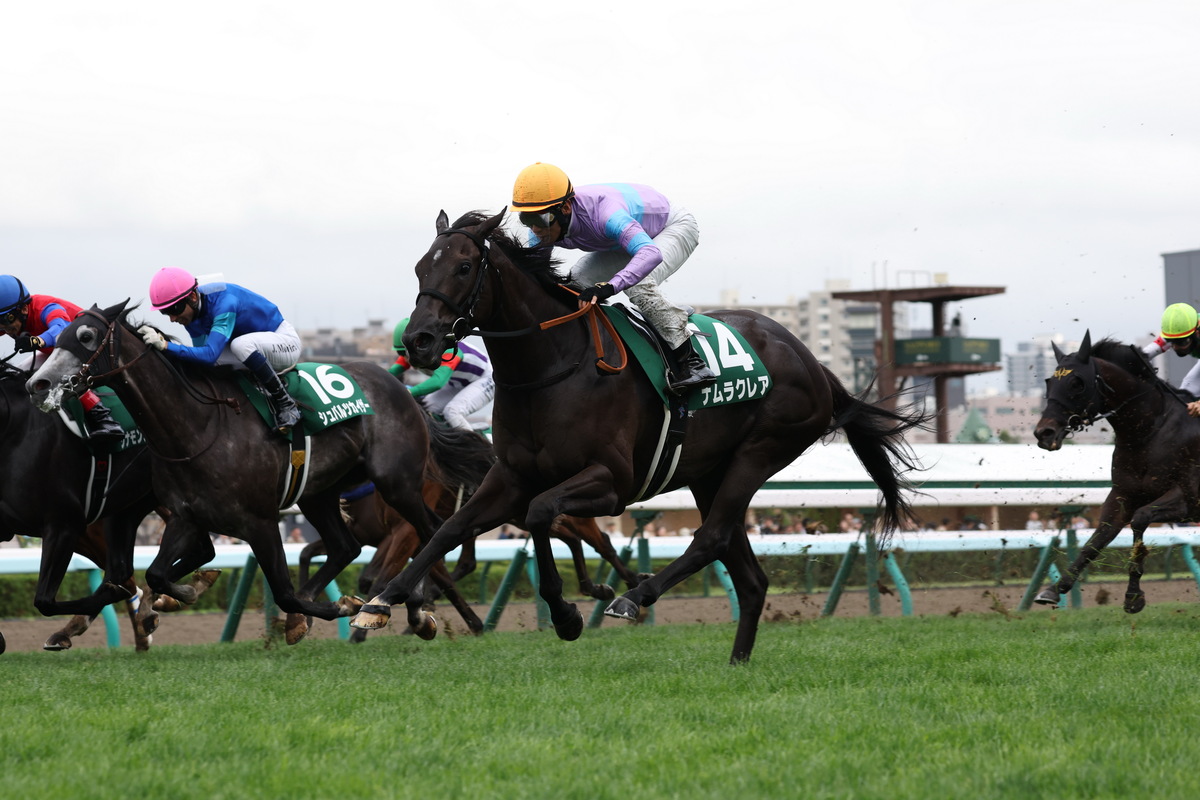 Sprinters Stakes (G1) Preview: Autumn Racing Season Returns to the ...