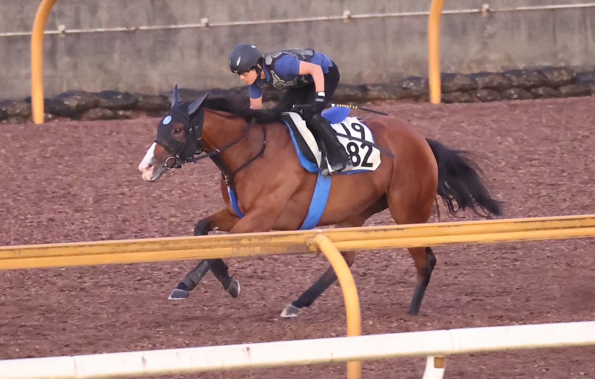 Sprinters Stakes (G1) Preview: Autumn Racing Season Returns to the ...