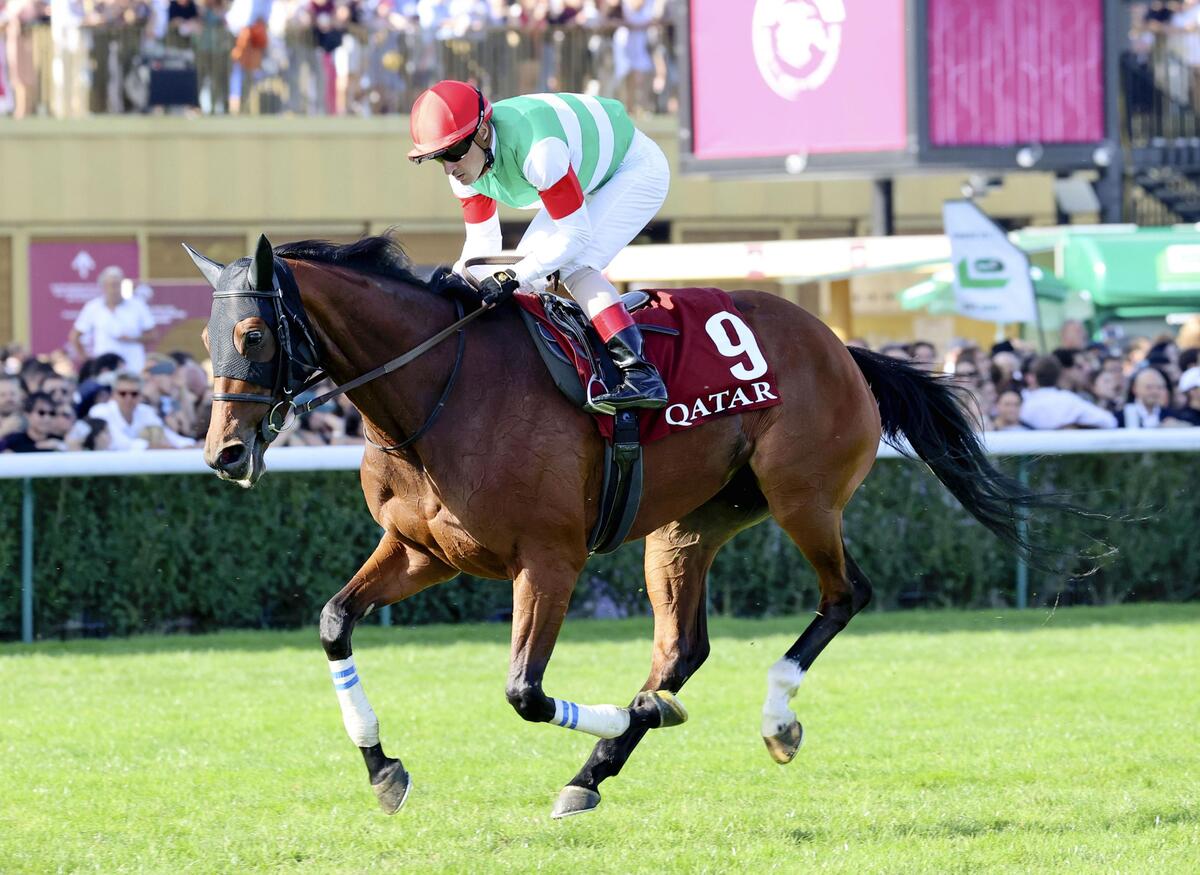 Mama Cocha Triumphs by a Nose in the 57th Sprinters Stakes | SportsLook