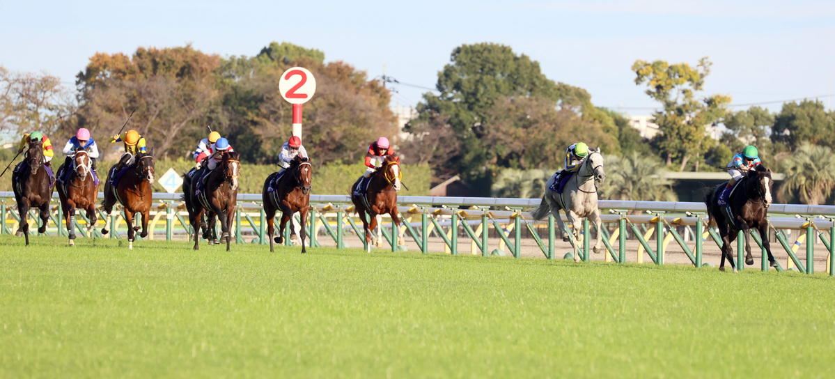 Equinox Repeats as the Tenno Sho (Autumn) Champion | SportsLook
