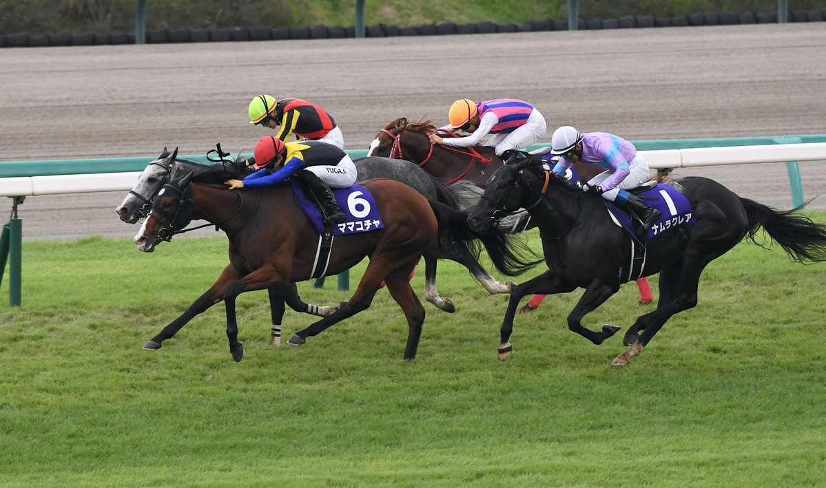 Mama Cocha Triumphs by a Nose in the 57th Sprinters Stakes | SportsLook