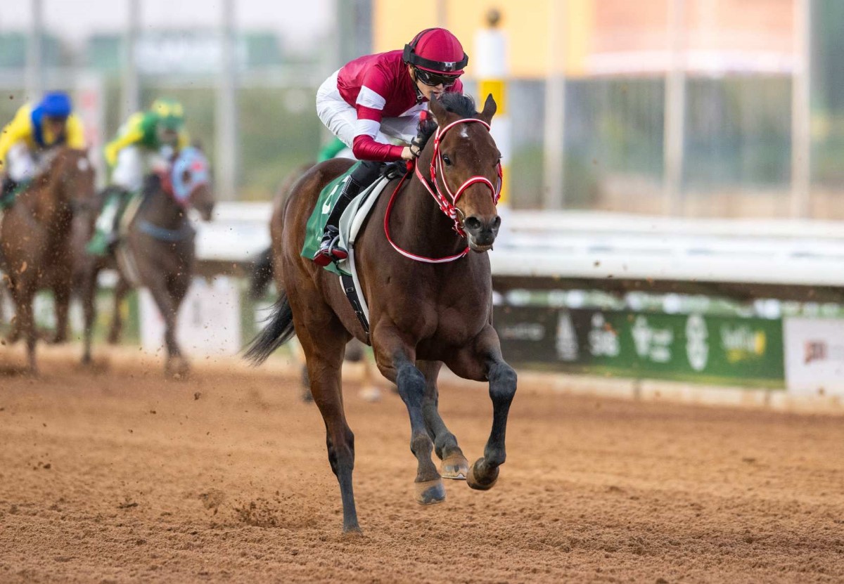 Saudi Cup Recap: Japanese Thoroughbreds Fare Well in Riyadh Races ...