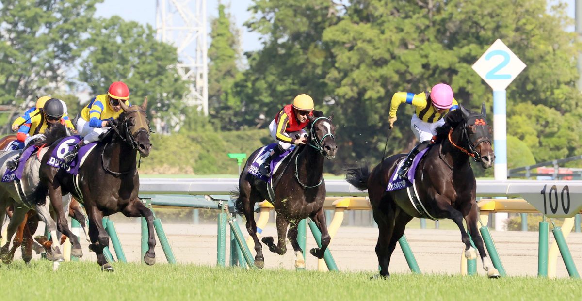 Jantar Mantar Shines as the Top Runner in NHK Mile Cup | SportsLook